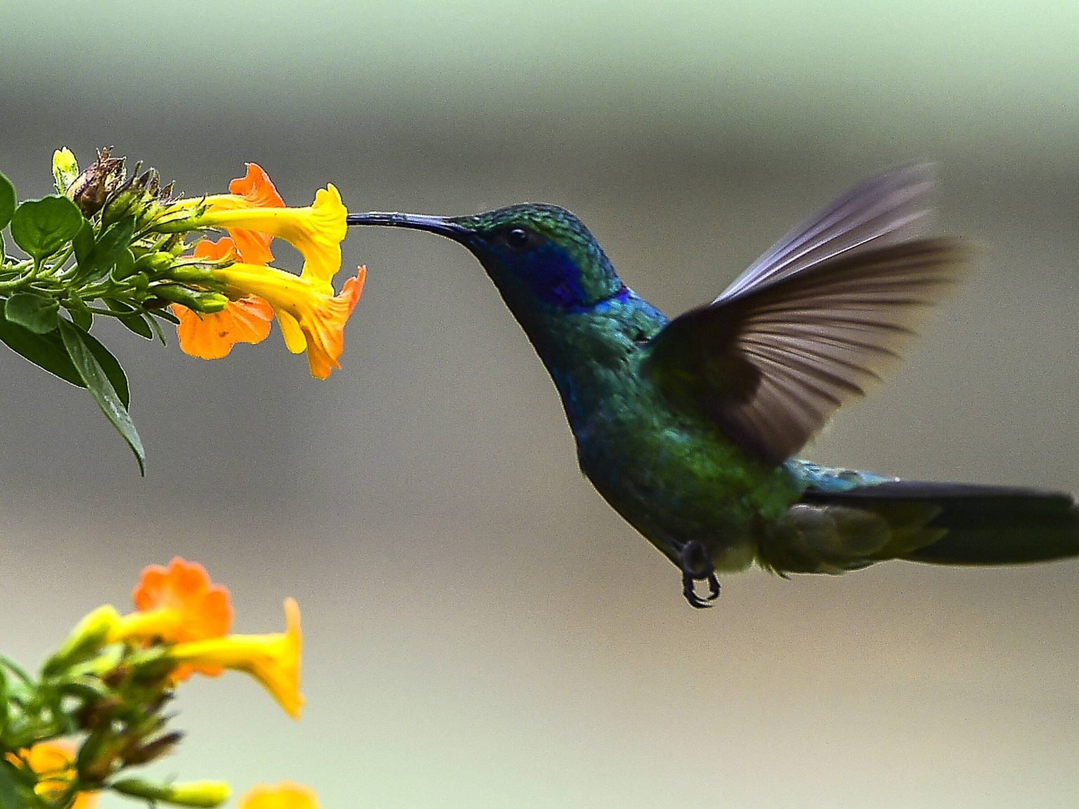 Inspanning/ontspanning – Irene Maessen